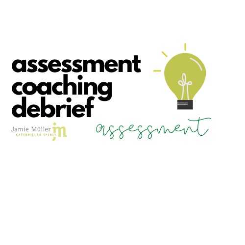 1:1 Coaching: Assessment Tool Debrief