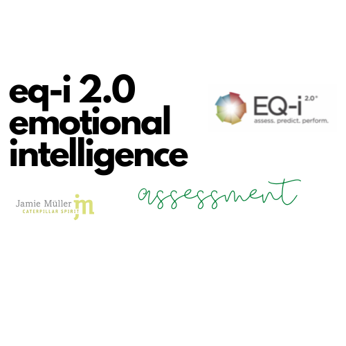 Global SkillSets: EQ-i 2.0: Emotional Intelligence Assessment + Debrief